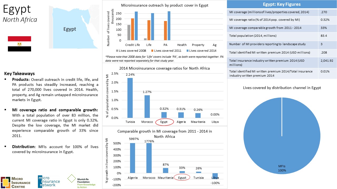 WMM - Country Profile: Egypt | Microinsurance Network